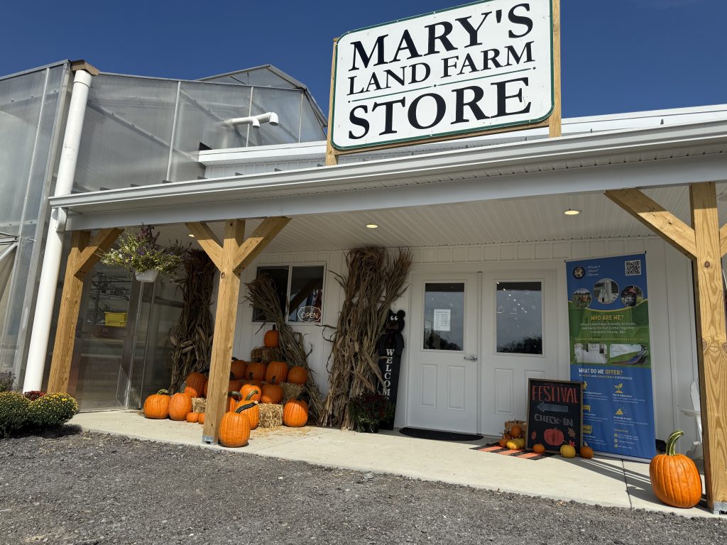 Mary’s Land Farm | Farm Store, Events & Family Fun